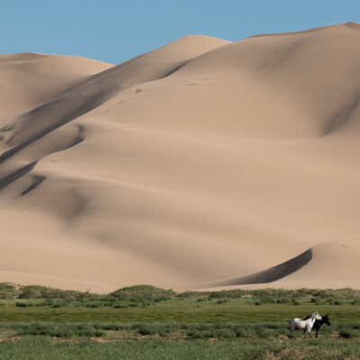 Um oásis no Deserto de Gobi | Mundo por Terra